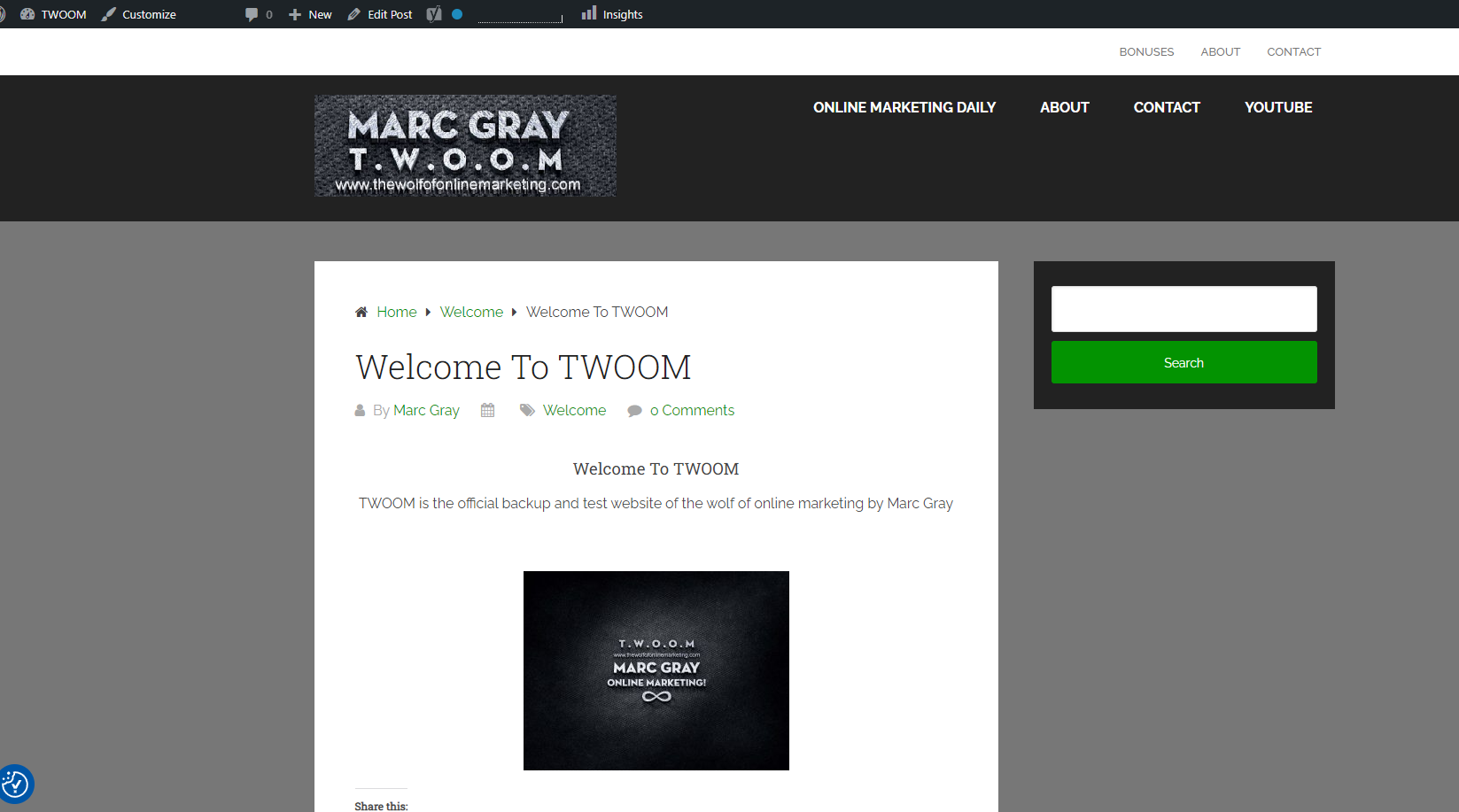 Which WordPress theme is fastest – The Wolf Of Online Marketing